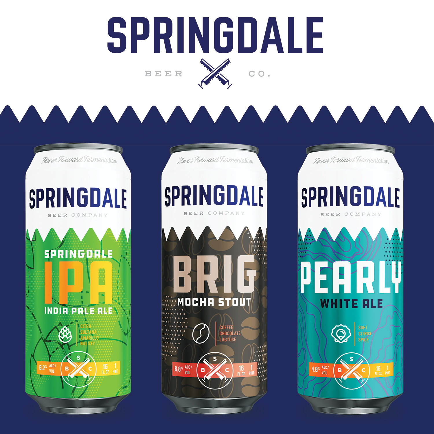 New Year, New Us: Introducing Springdale 2020 | Springdale Beer Co ...