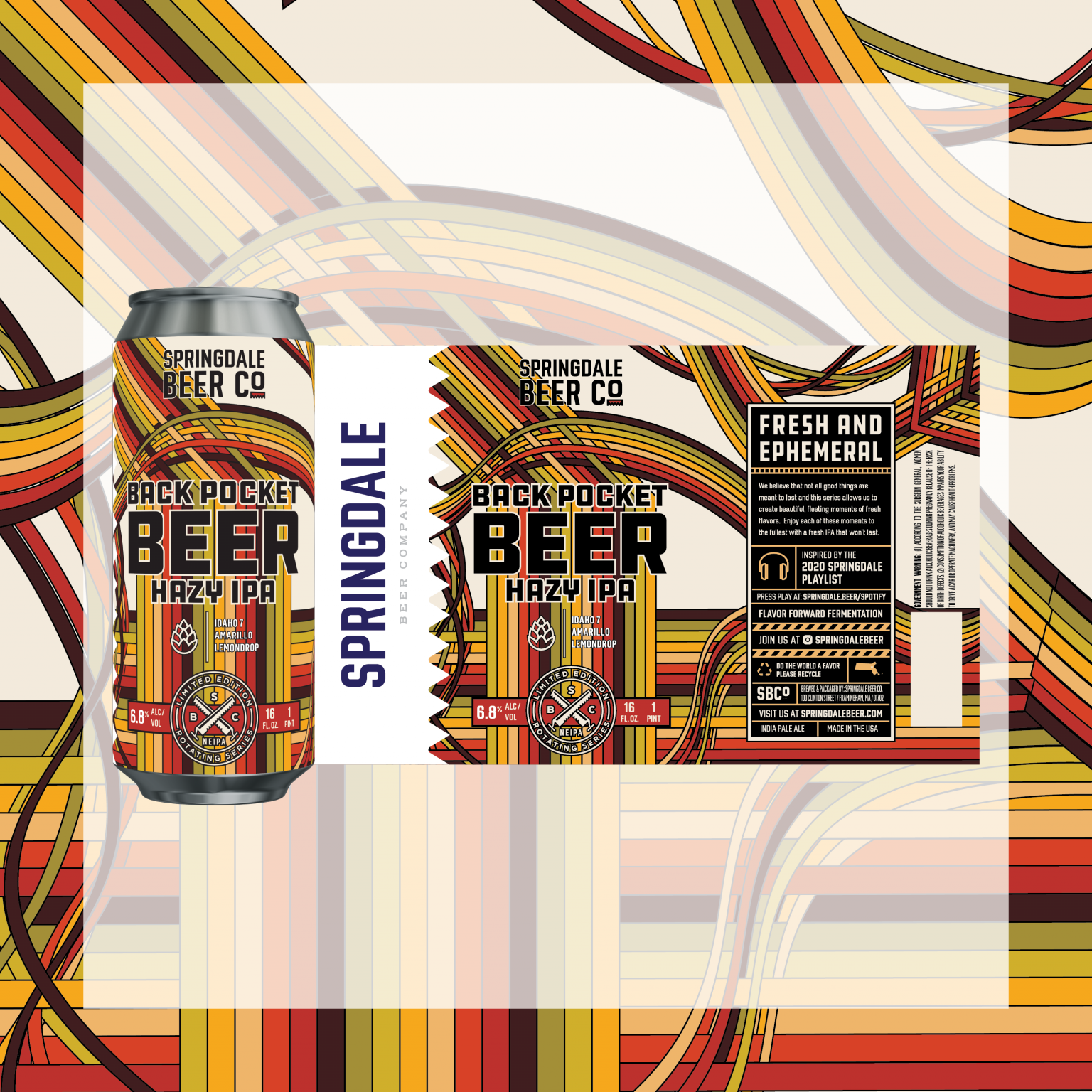 Playing In The Pocket | Springdale Beer Co - Framingham, MA